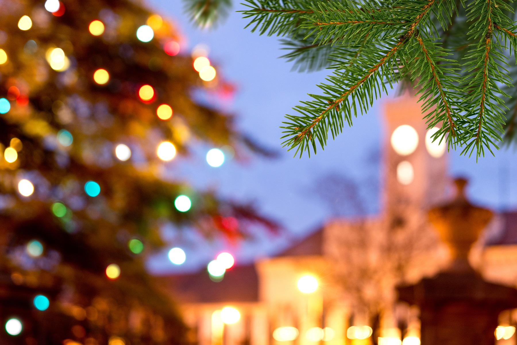 Sustainable winter holidays | Sustainability